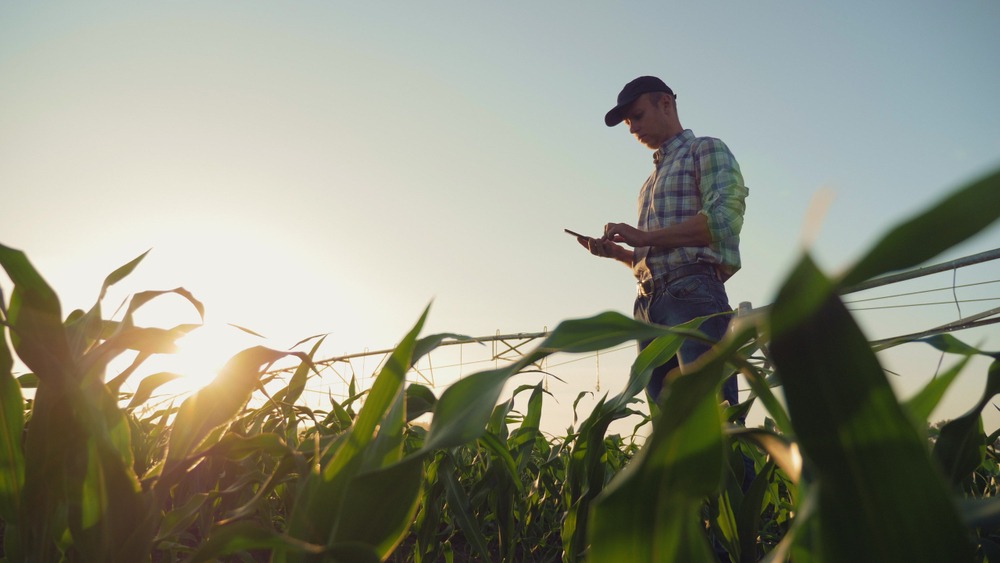 Fuel Cell Technology - A new way to power your home